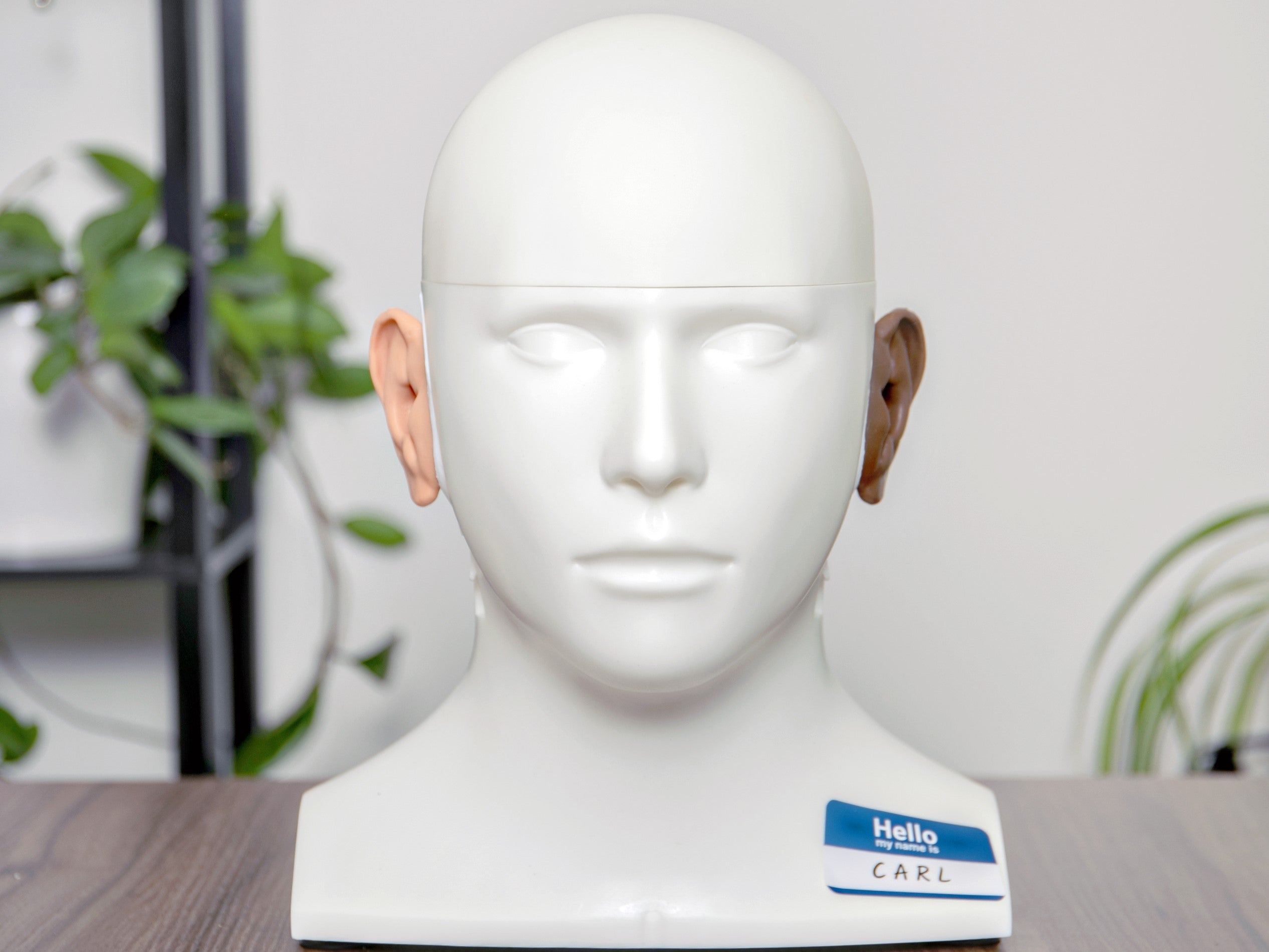 CARL Units and Accessories – AHead Simulations