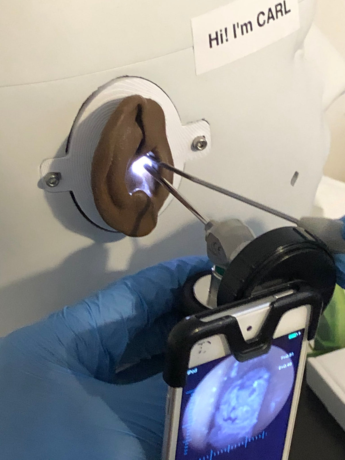 Cerumen Management – AHead Simulations