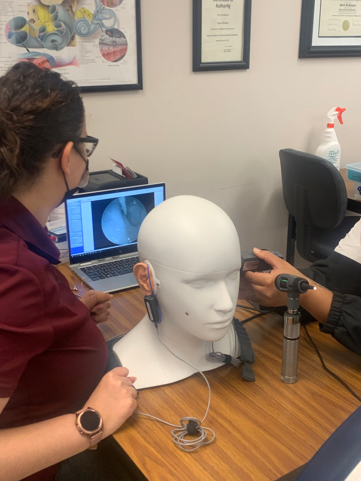 Otoscopy – AHead Simulations